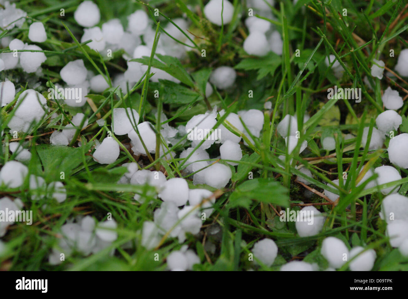 hail balls on the ground Stock Photo - Alamy