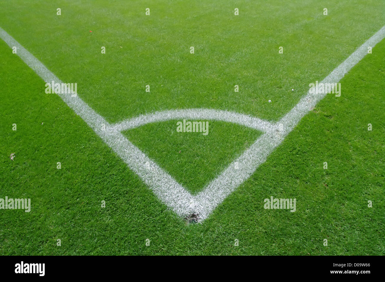 soccer field close-ups of markings of the field Stock Photo - Alamy