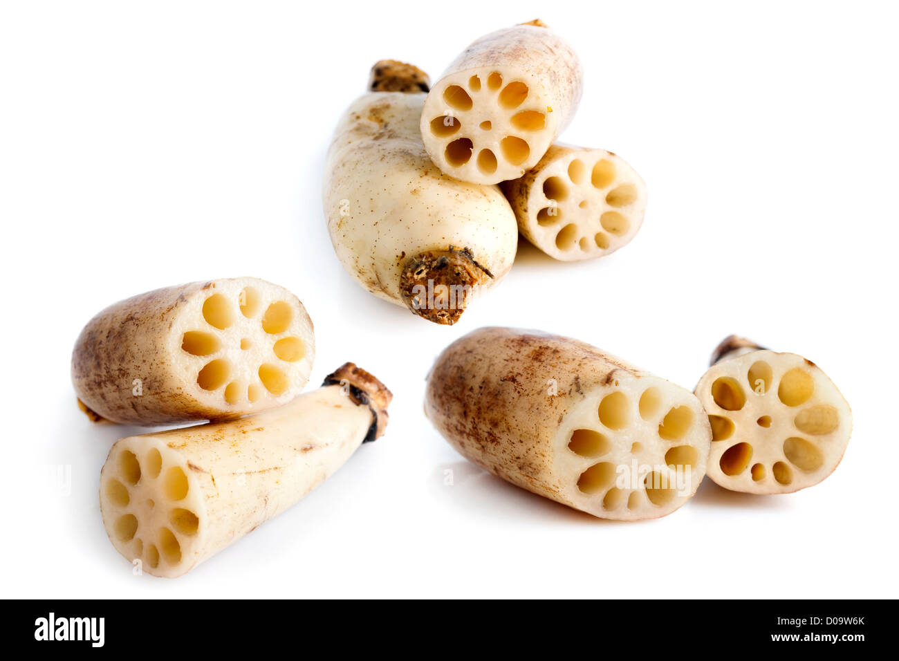 Close up fresh Lotus root on white background Stock Photo - Alamy