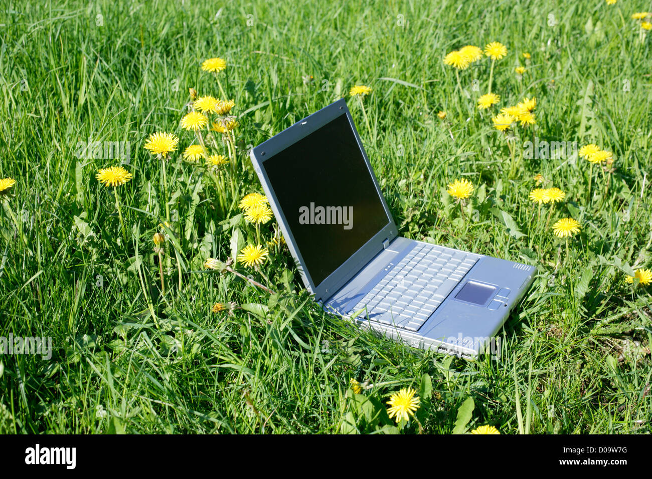 laptop in grass as a symbol for fieldwork,leisure or holiday Stock ...