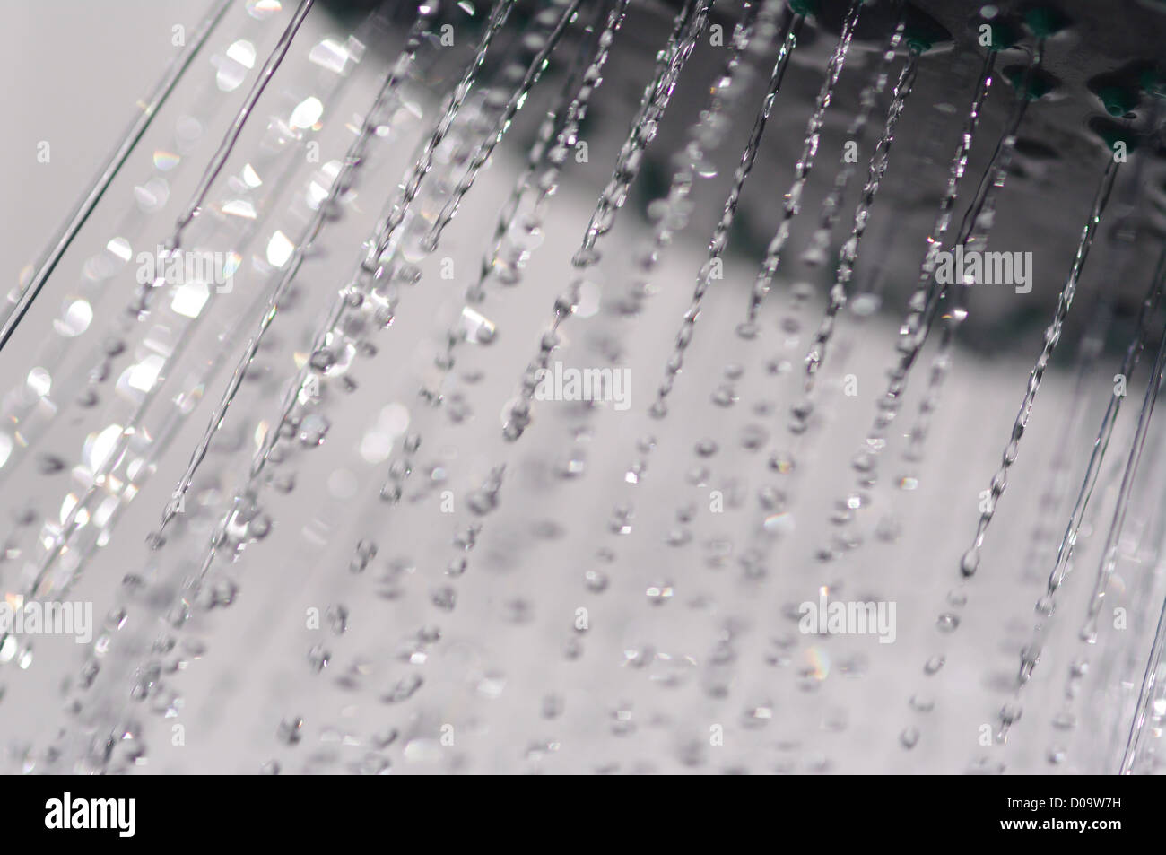 water drops falling from a shower indoors Stock Photo - Alamy