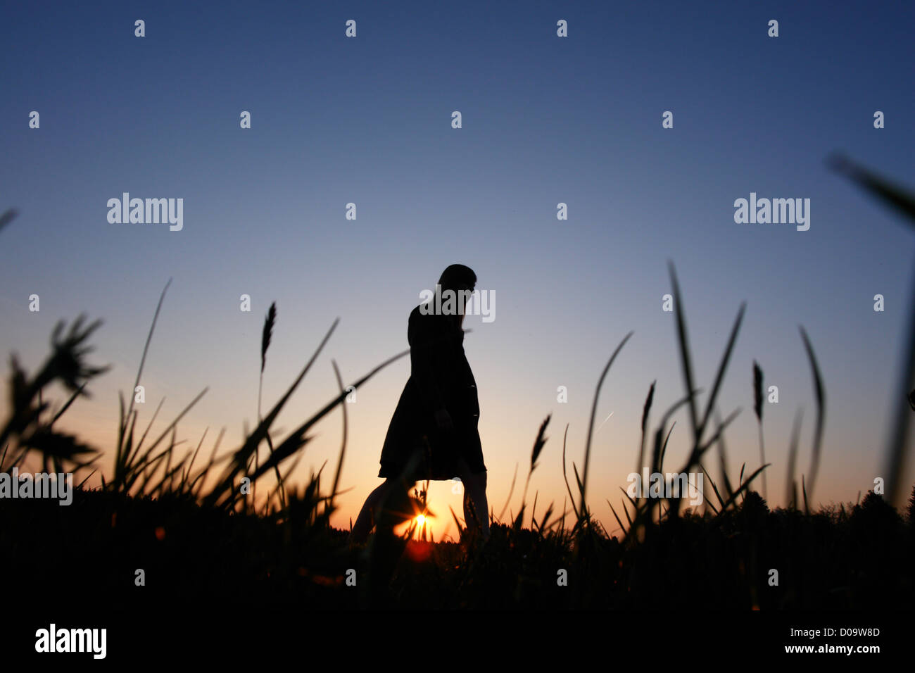 walking young man over field and sunset Stock Photo - Alamy