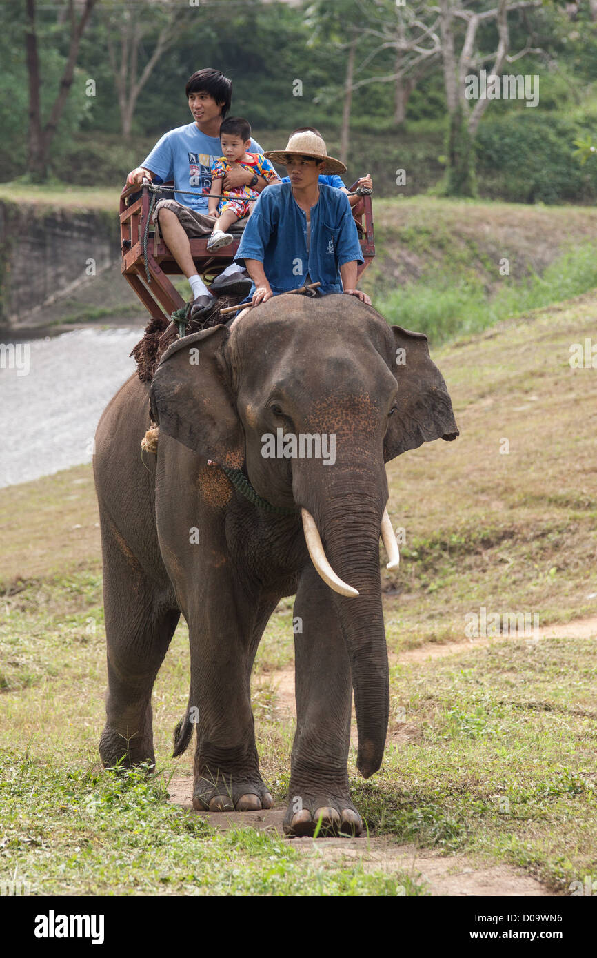 TOURISTS RIDING ON THE BACKS OF ELEPHANTS THAI ELEPHANT CONSERVATION ...