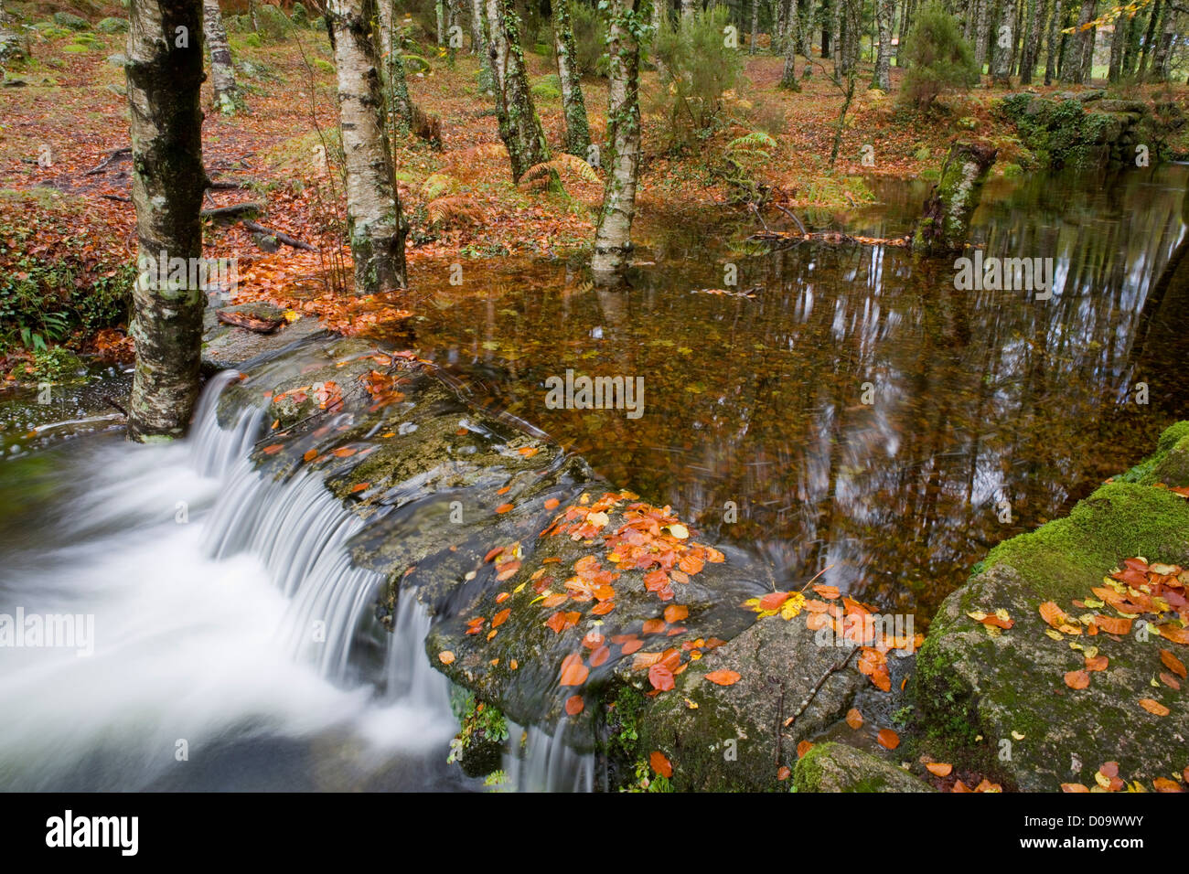 river waterfall in the portuguese national park of Geres, in the north ...