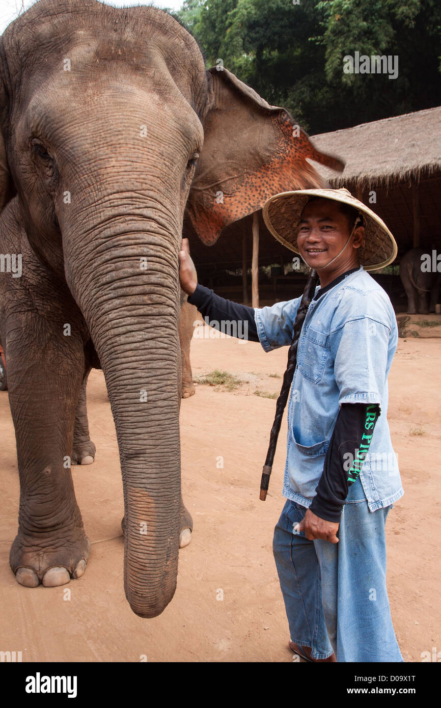 MAHOUT OR CORNAC ELEPHANT MASTER GUIDE POSING HIS PROTEGE IN ELEPHANT ...