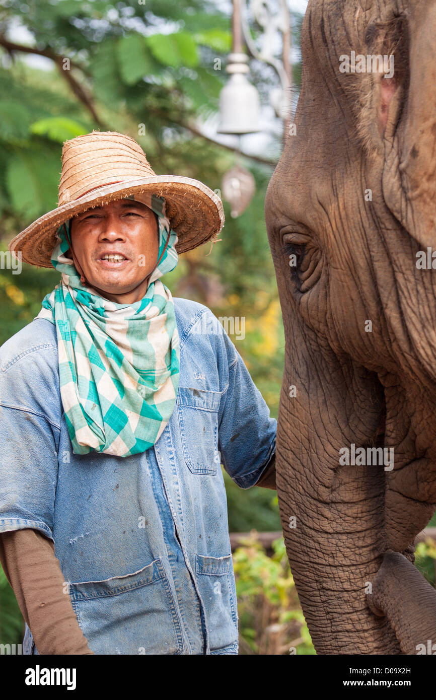 MAHOUT OR CORNAC ELEPHANT MASTER GUIDE POSING HIS PROTEGE IN ELEPHANT ...