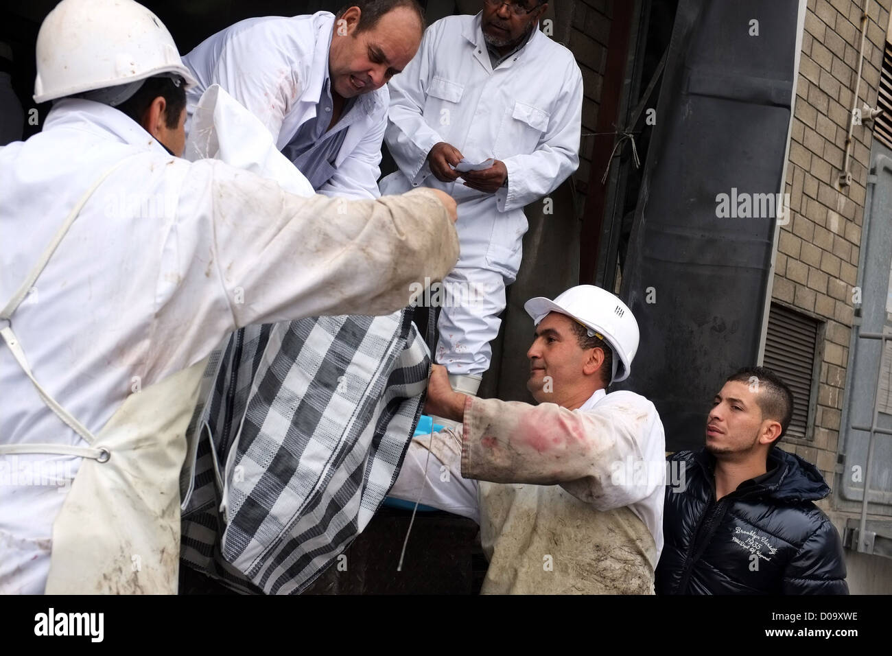 TRADITIONAL SACRIFICE SHEEP DURING AID EL KEBIR FESTIVAL FIRST DAY ...