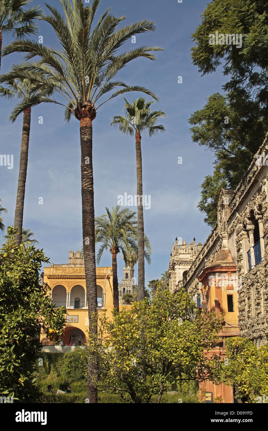 Palacio gotico hi-res stock photography and images - Alamy