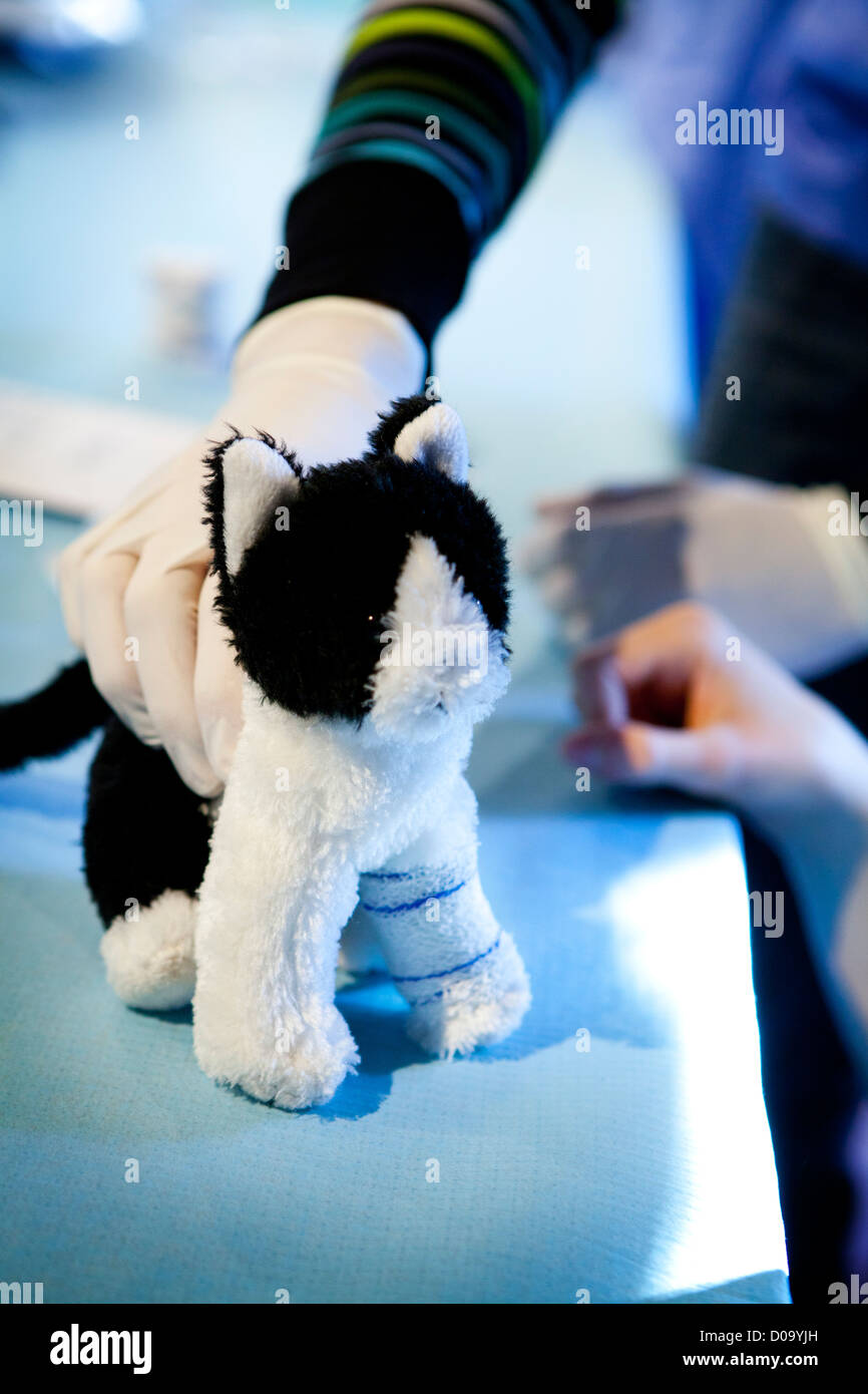TEDDY BEAR HOSPITAL Stock Photo - Alamy