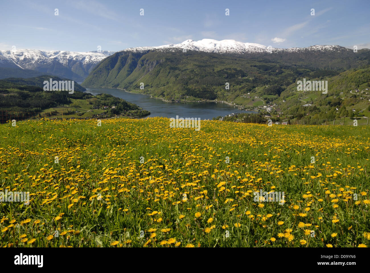 A view at the Hardanger fjord and surrounding mountains(Hardangervidda ...