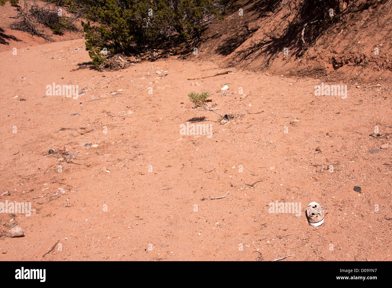 Litter rubbish shoe waste hi-res stock photography and images - Alamy