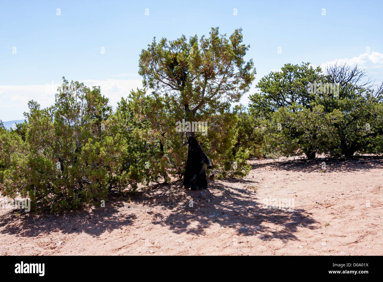 Mess jacket hi-res stock photography and images - Alamy