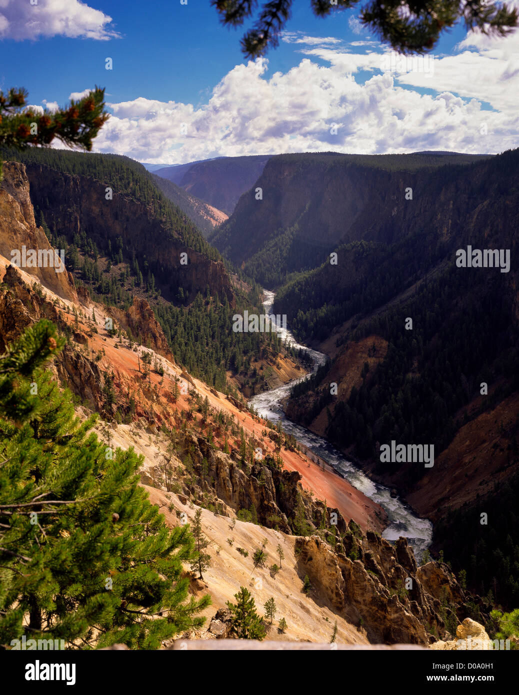 Usa national park yellowstone hi-res stock photography and images - Alamy