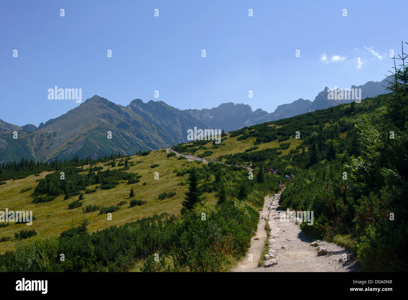 trail in mountains,Poland,Tatras Stock Photo - Alamy