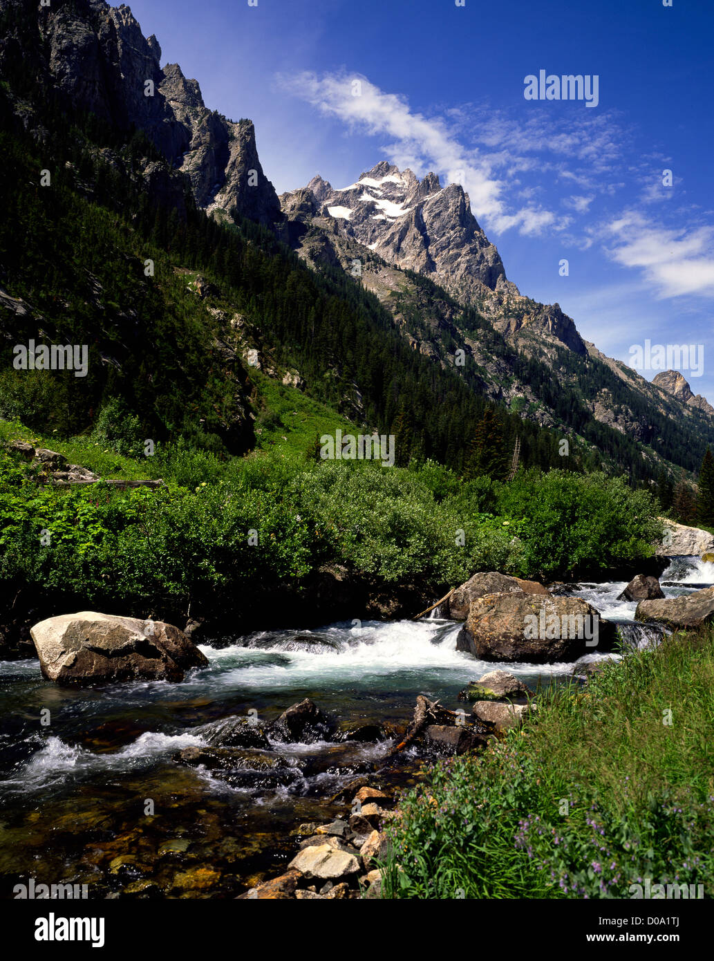Paintbrush Canyon, Grand Teton National Park, Wyoming, USA Stock Photo ...