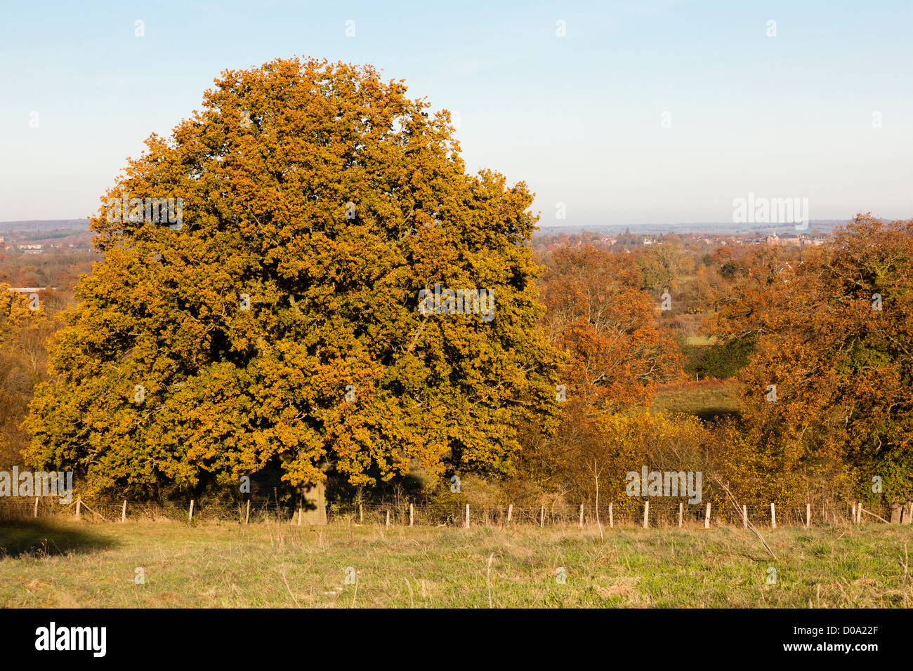 Upper hayesden hi-res stock photography and images - Alamy