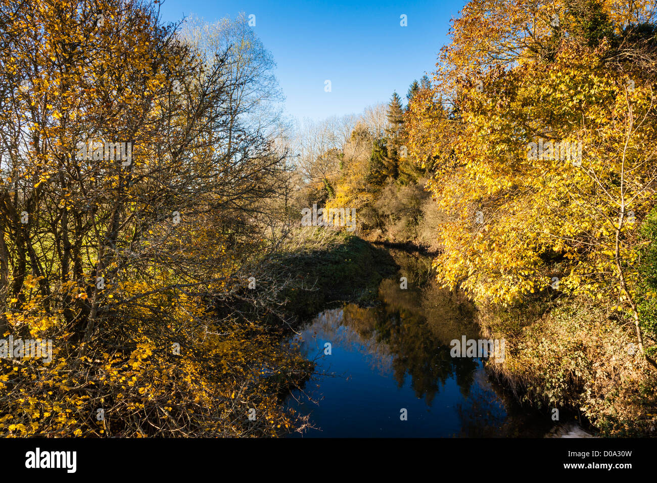 River Eden near Penshurst in Kent. A tributary of the River Medway. UK ...