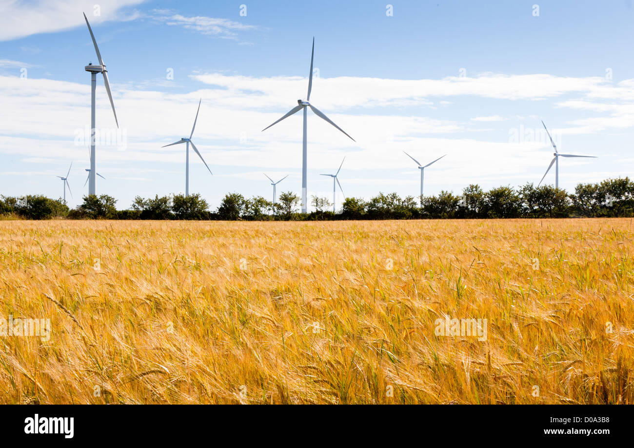 Wind power growth hi-res stock photography and images - Alamy