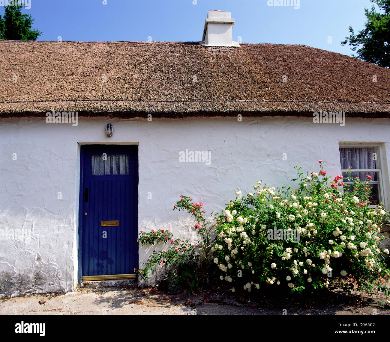 Irish Thatched Cottage Stock Photo - Alamy