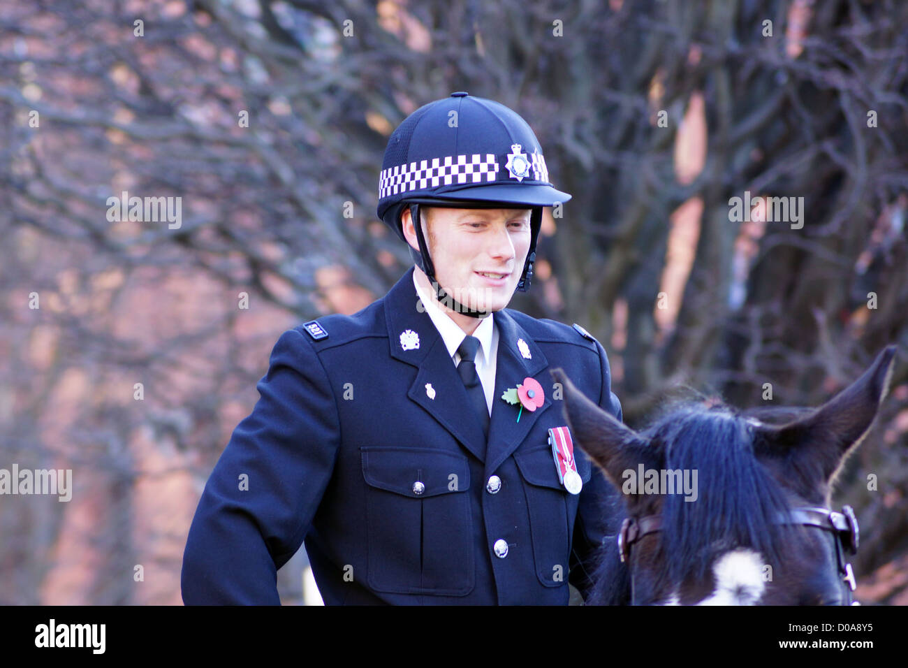Mounted police in Leeds city center Stock Photo - Alamy