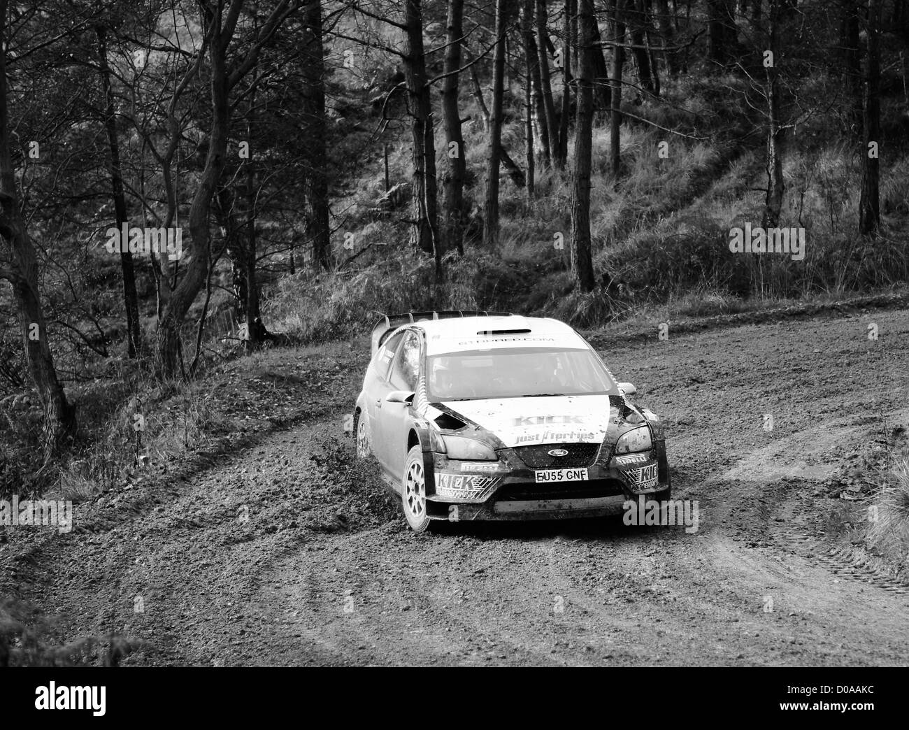 Malton Forest Rally, November 2012. Cropton stage Stock Photo - Alamy