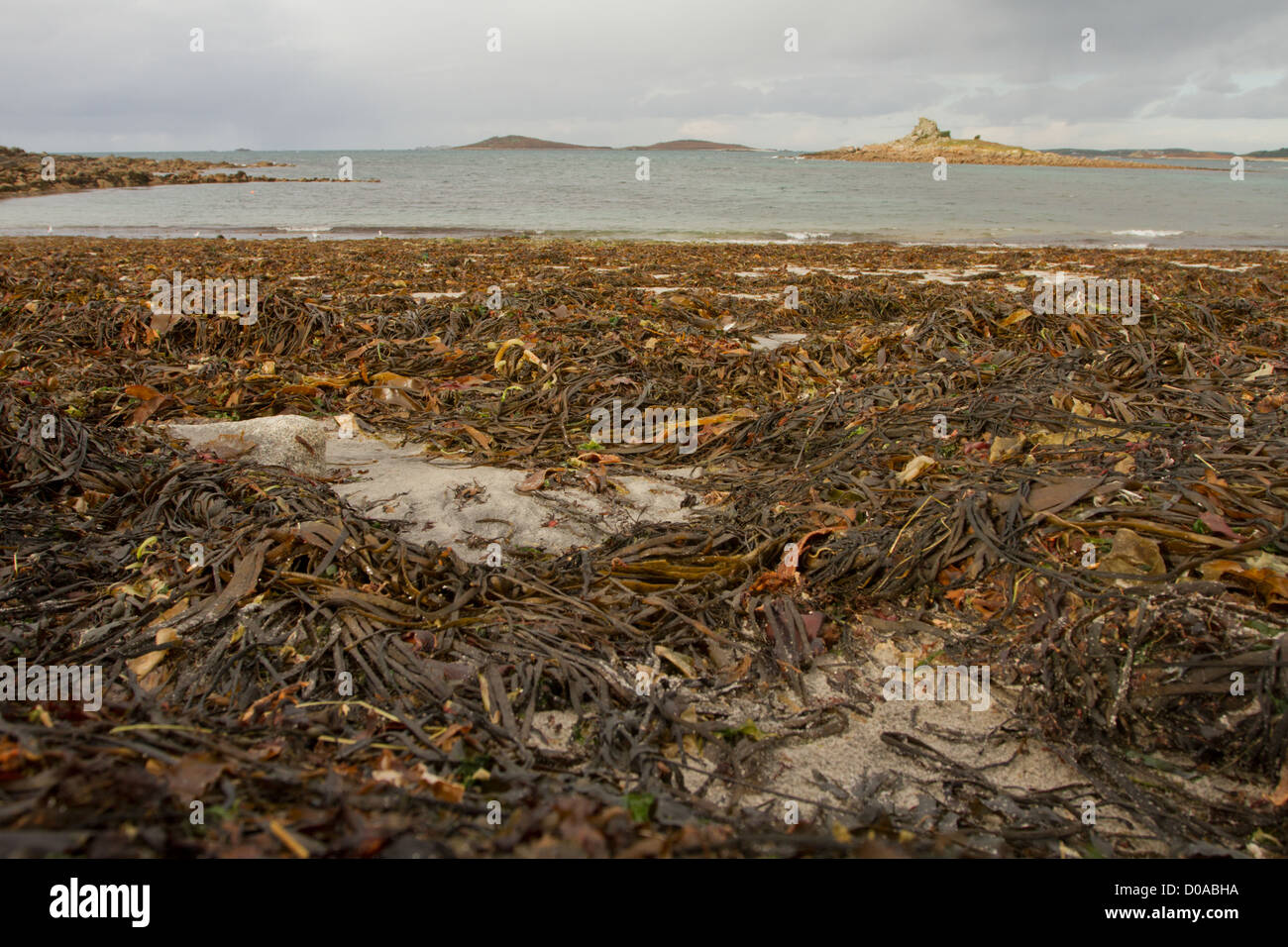 Porthloo beach hi-res stock photography and images - Alamy