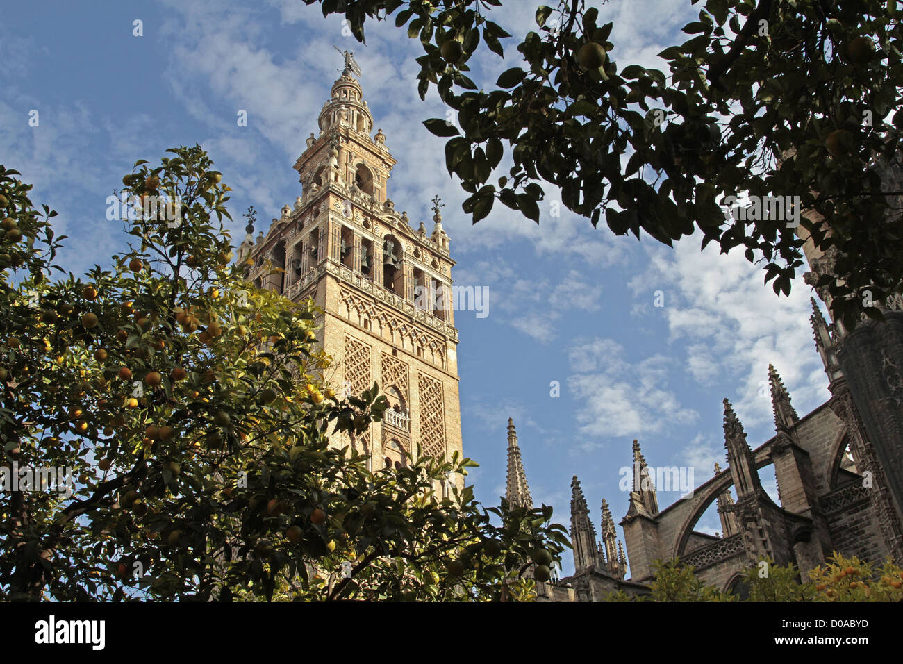 Great mosque of seville hi-res stock photography and images - Alamy