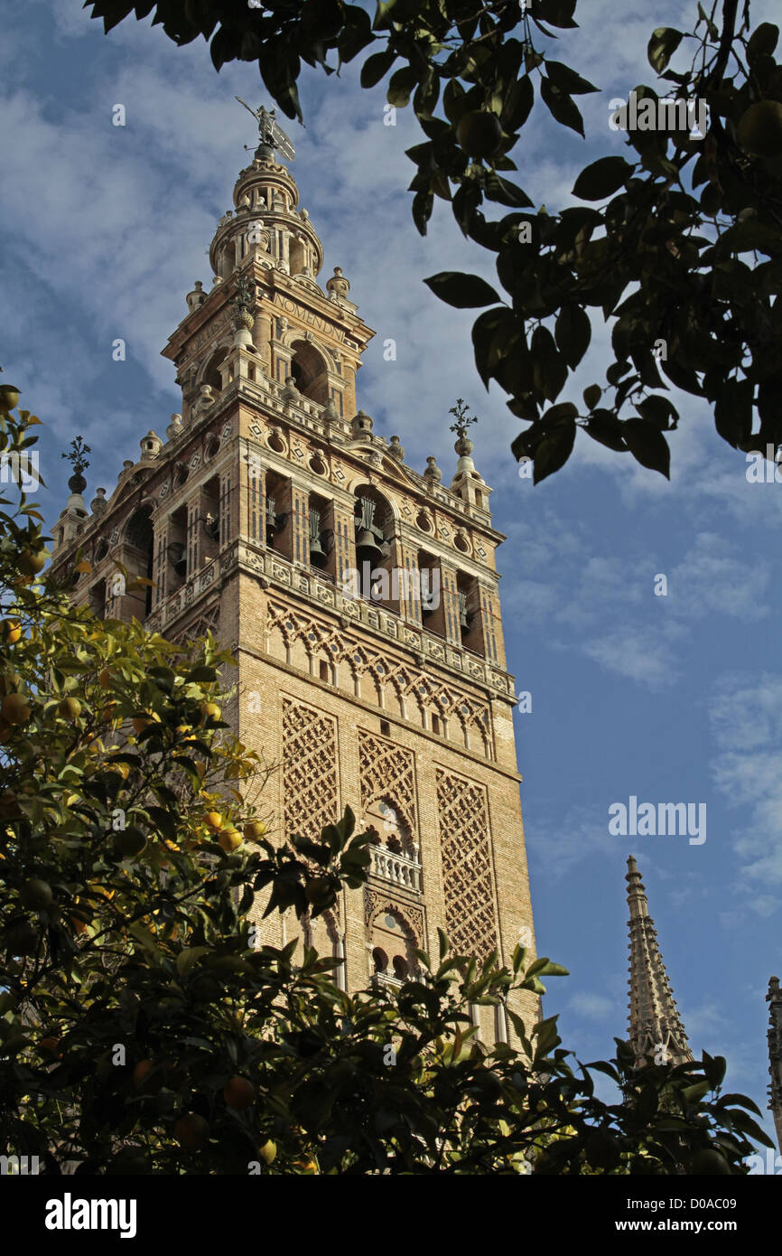 Great Mosque Of Seville Stock Photos & Great Mosque Of Seville Stock ...