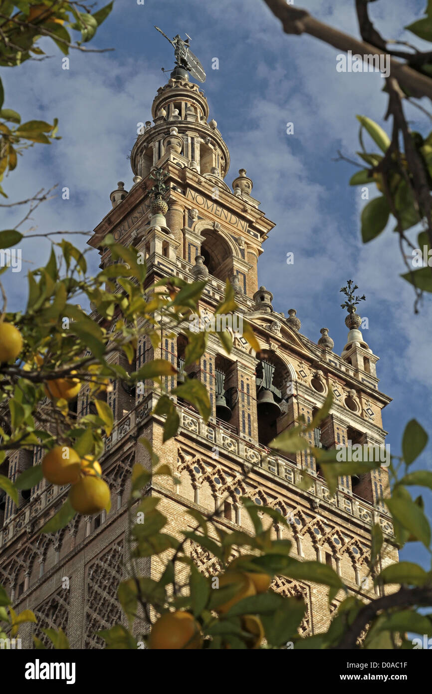 Great mosque of seville hi-res stock photography and images - Alamy