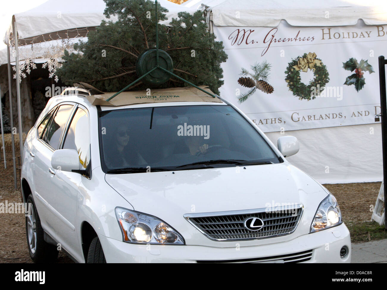 Halle Berry buys a Christmas tree in West Hollywood and attaches it to ...