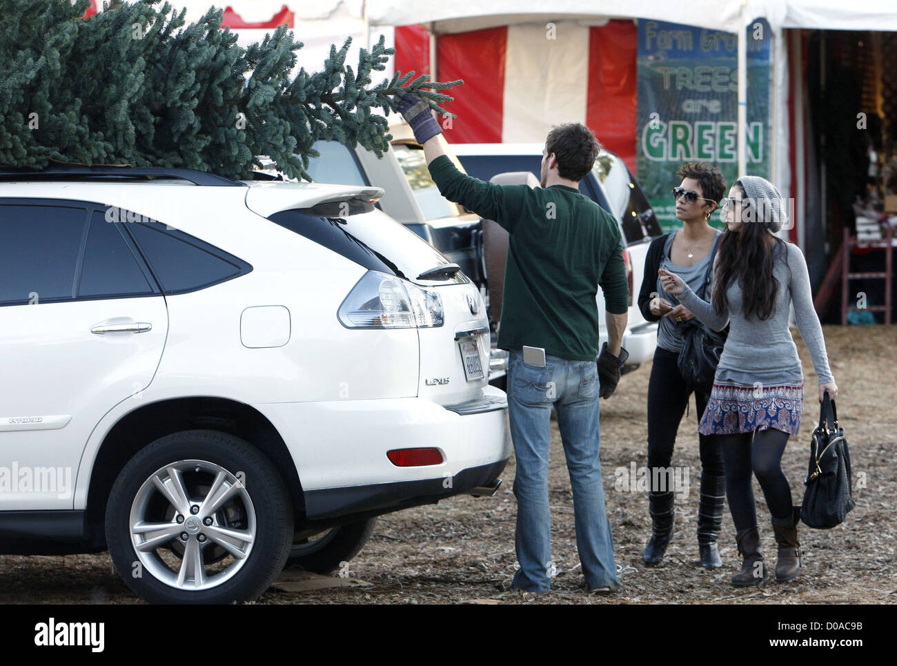 Halle Berry buys a Christmas tree in West Hollywood and attaches it to ...