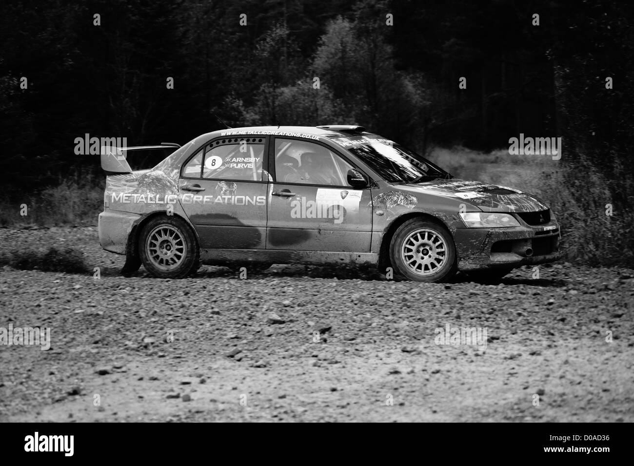 Rally forest stage Black and White Stock Photos & Images - Alamy