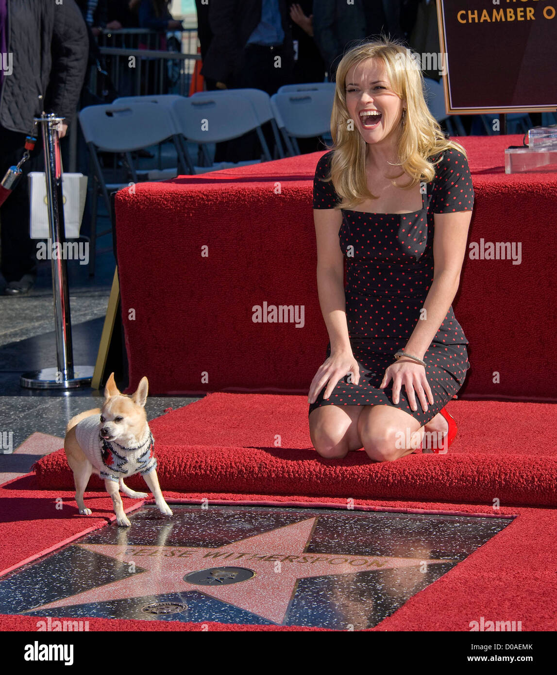 Actress Reese Witherspoon and her dog Bruiser Reese Witherspoon's ...