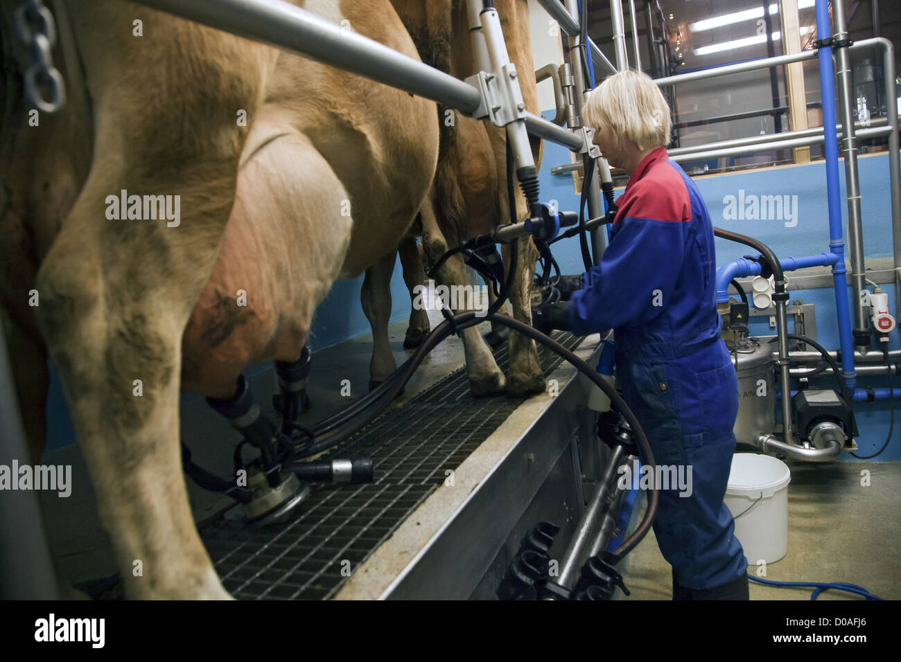 Milking machine woman hi-res stock photography and images - Alamy