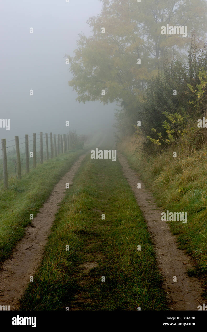 Rural farm track going hi-res stock photography and images - Alamy