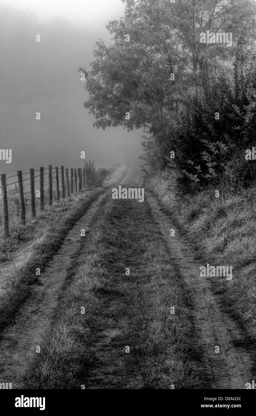 Rural farm track going hi-res stock photography and images - Alamy