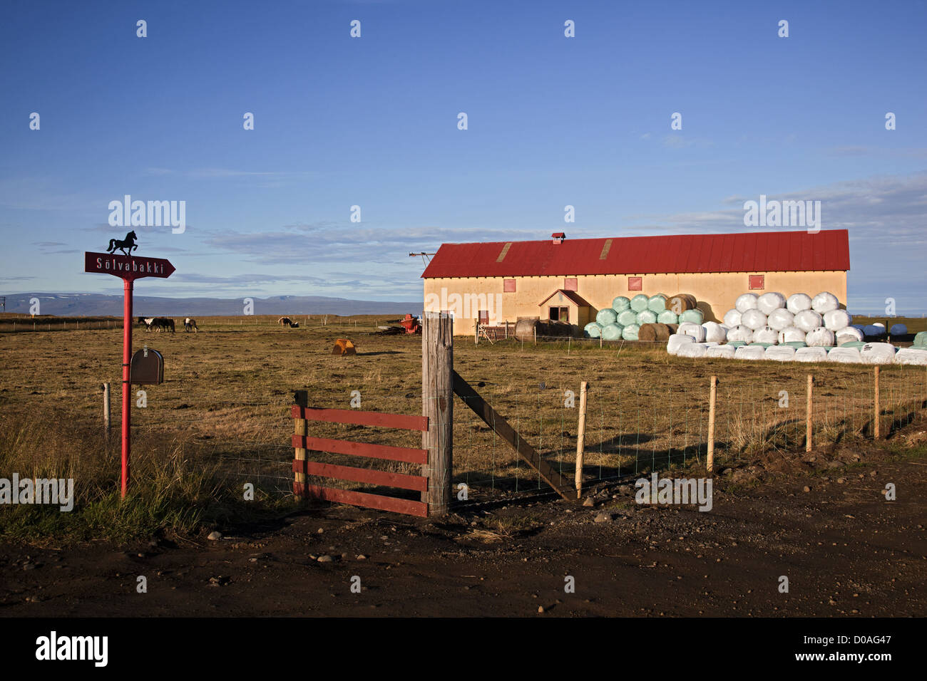 BREEDING OF HORSES ON AN ICELANDIC FARM NORTHERN ICELAND EUROPE Stock ...