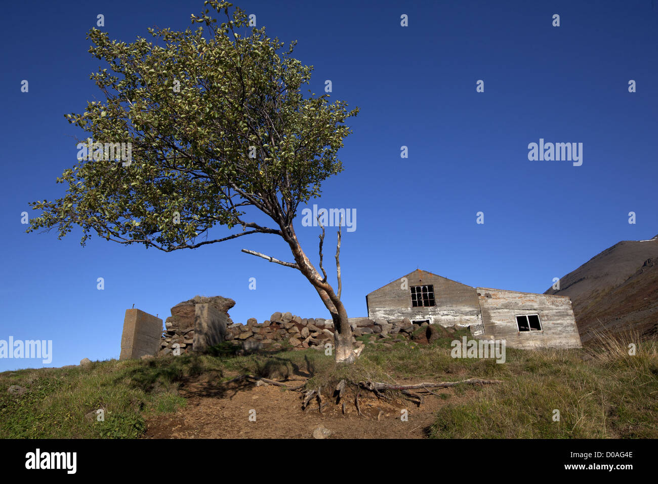 ABANDONED FARMHOUSE DESTROYED BY THE VIOLENT WINDS NORTHERN ICELAND ...