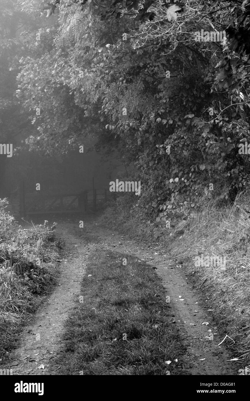 Rural farm track going hi-res stock photography and images - Alamy