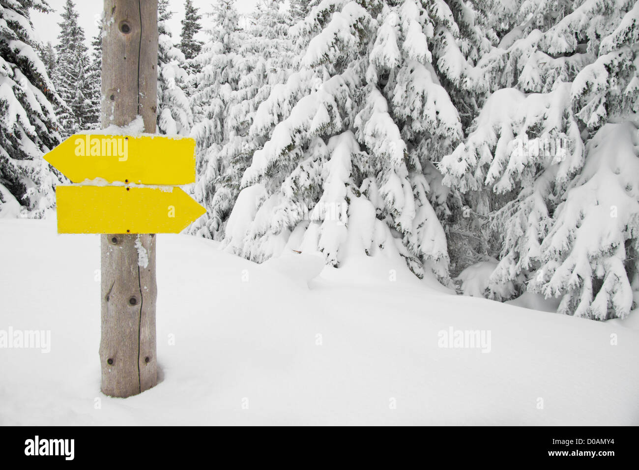 Direction signs in a snowy forest Stock Photo - Alamy