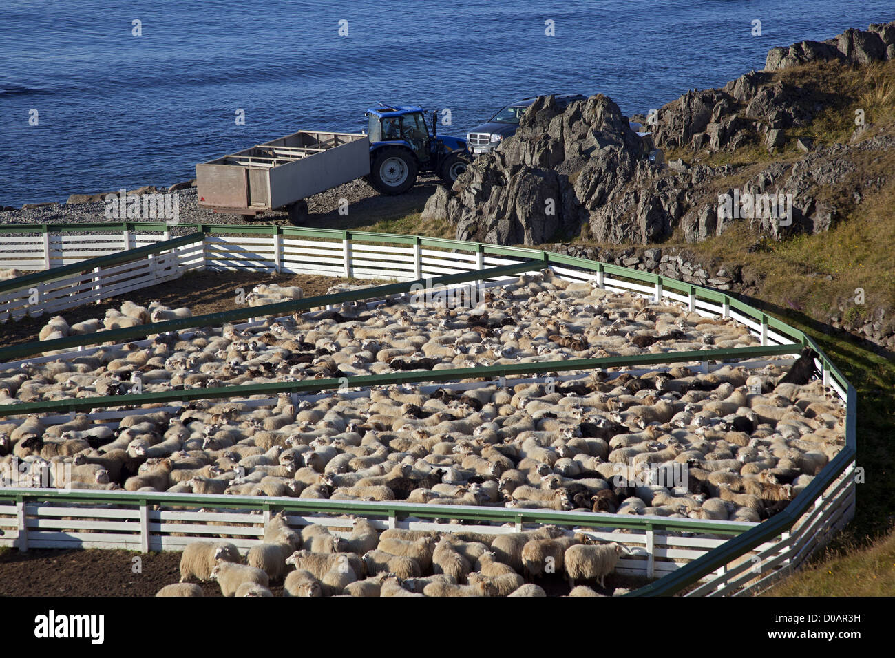 THE BIG ROUND-UP HERDS SHEEP (RETTIR IN ICELANDIC) ICELANDIC TRADITION ...