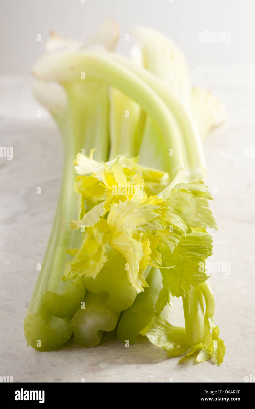 Celery hi-res stock photography and images - Alamy