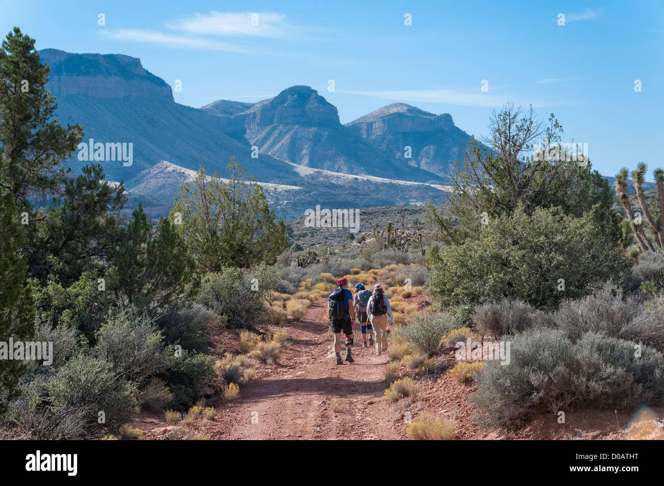 Hikers on the Grand Wash Cliffs Trail, Grand Canyon-Parashant National ...