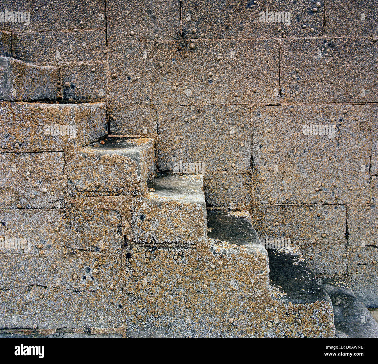 Stone Harbour Steps, Low Tide, Burren, Co Clare, Ireland Stock Photo ...
