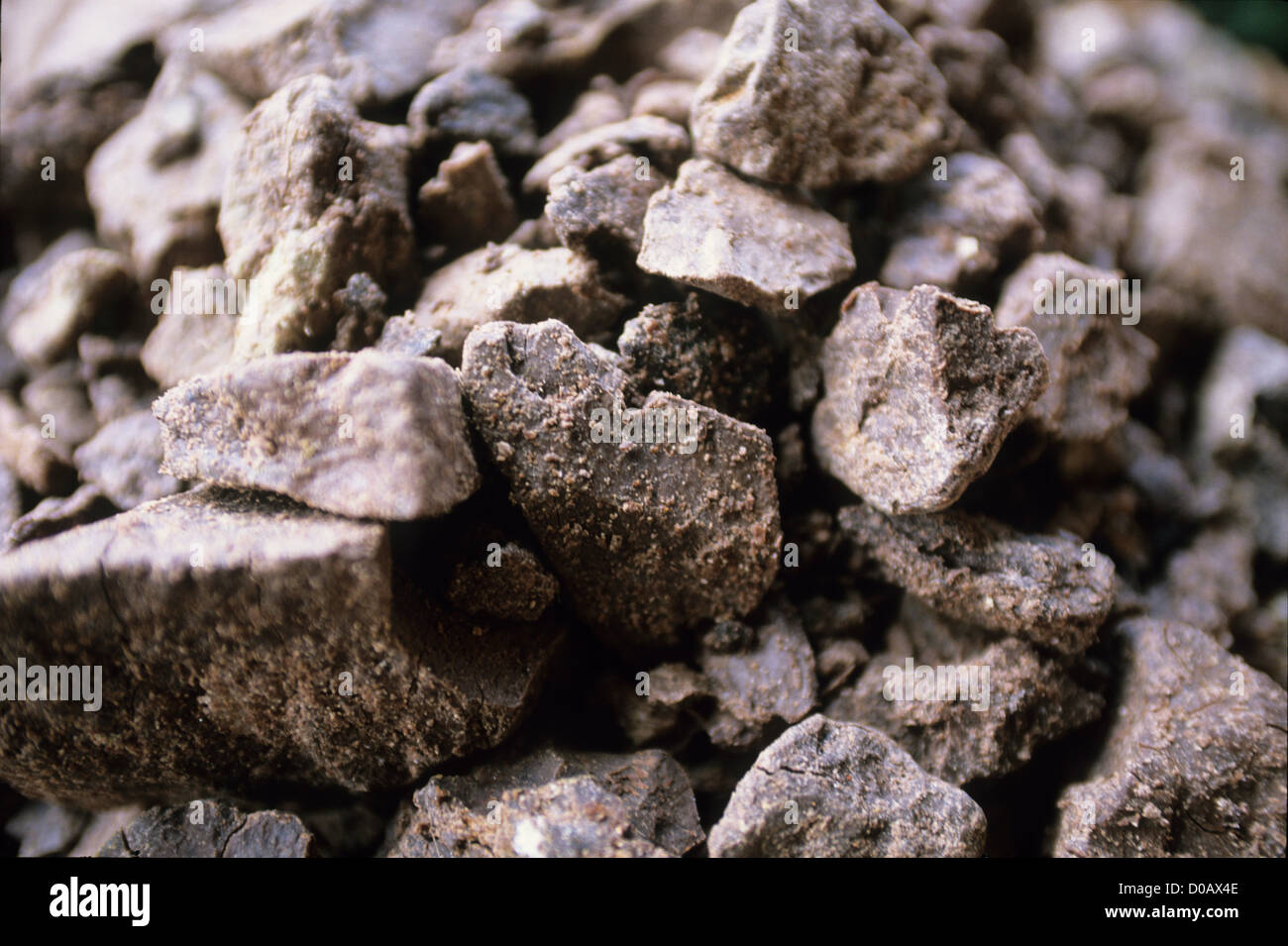 RHASSOUL (GHASSOUL RASSOUL) NATURAL MINERAL CLAY FOUND IN DESERT MIXED ...