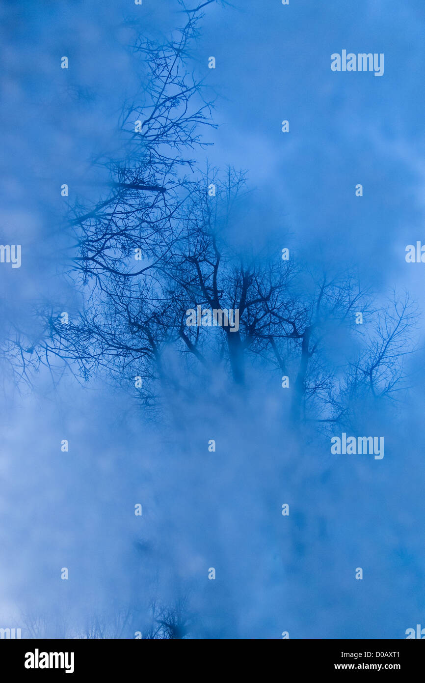 Unfreeze hi-res stock photography and images - Alamy