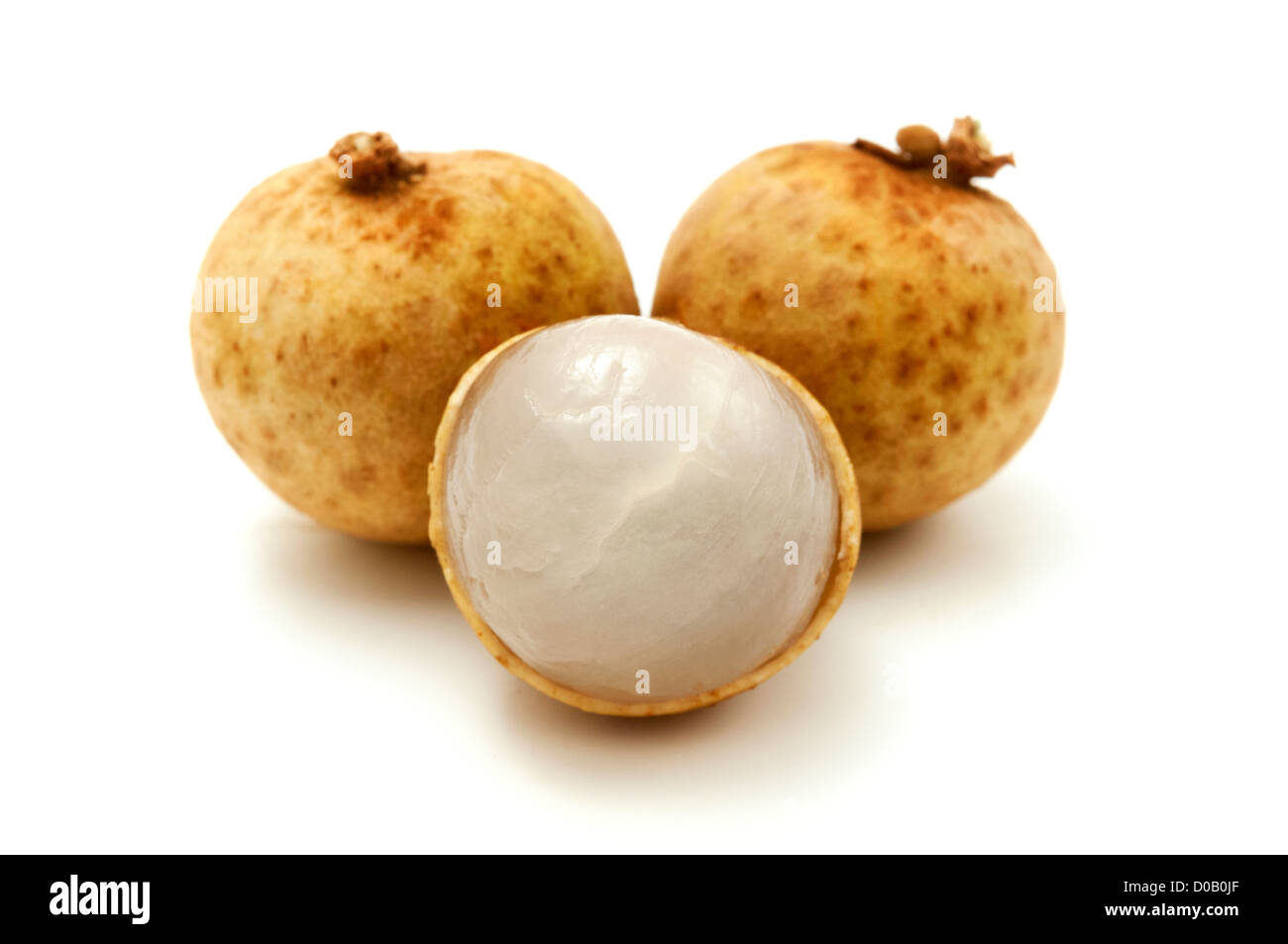 Longan on a white background Stock Photo - Alamy