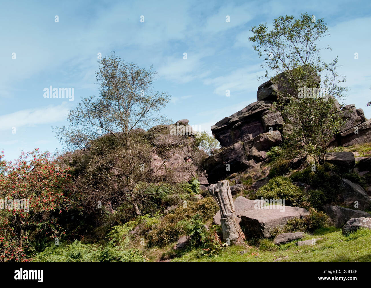 Rocks & trees Stock Photo - Alamy