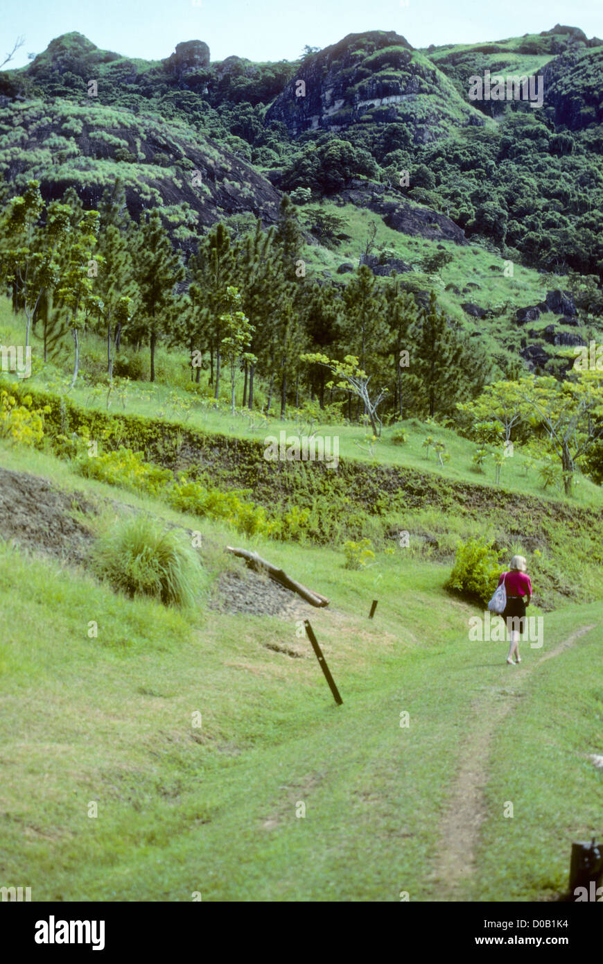 Figi Feb 1991 Digital Slide Conversions Raymond Burr Orchid Nursery ...