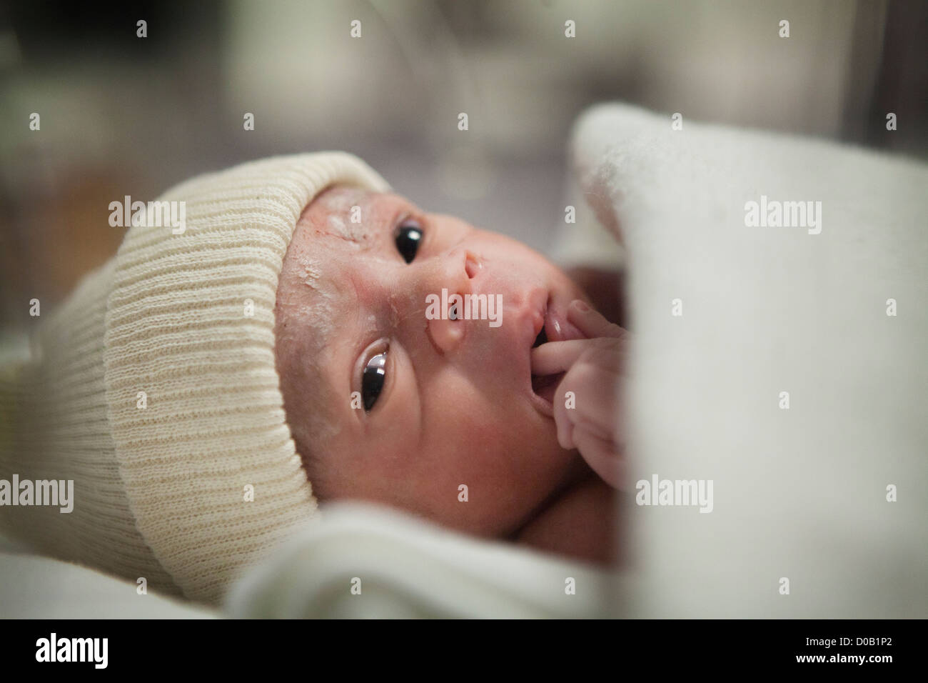 Day old baby born premature hi-res stock photography and images - Alamy